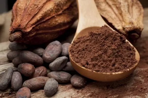 Cacao dans une cuillère