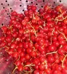 Currants kuqe