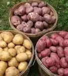 Kako sortirati krumpir