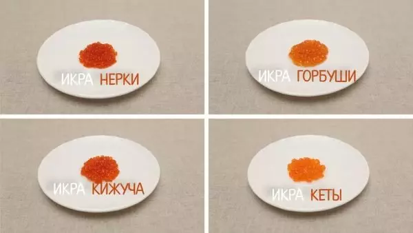 Caviar de diferentes tipos de peces.