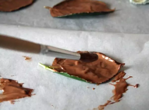 Жапырақтары бойынша шоколад салу