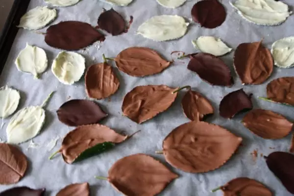 چاکلیٹ احاطہ شدہ پتیوں