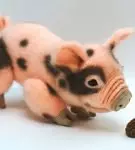 Porc irregular