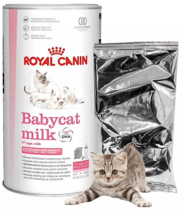 Dry mix for newborn kittens