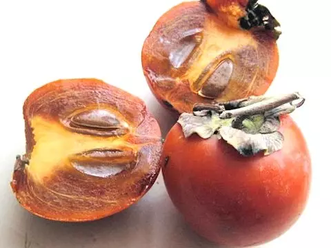 Persimmon Korolev در زمینه