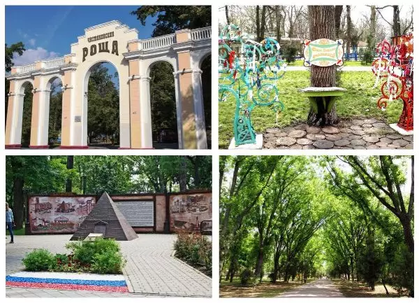 Chistolyakovskaya Grove in Krasnodar