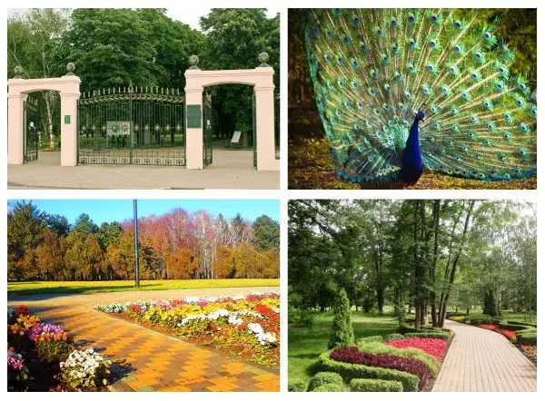 Kosenko Botanical Garden