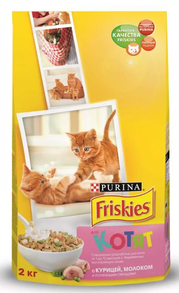 غذای خشک برای بچه گربه ها