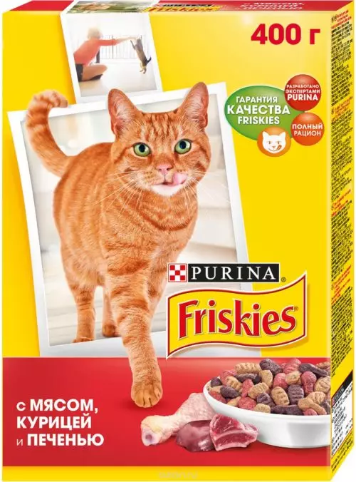 غذای خشک برای گربه های بزرگسالان
