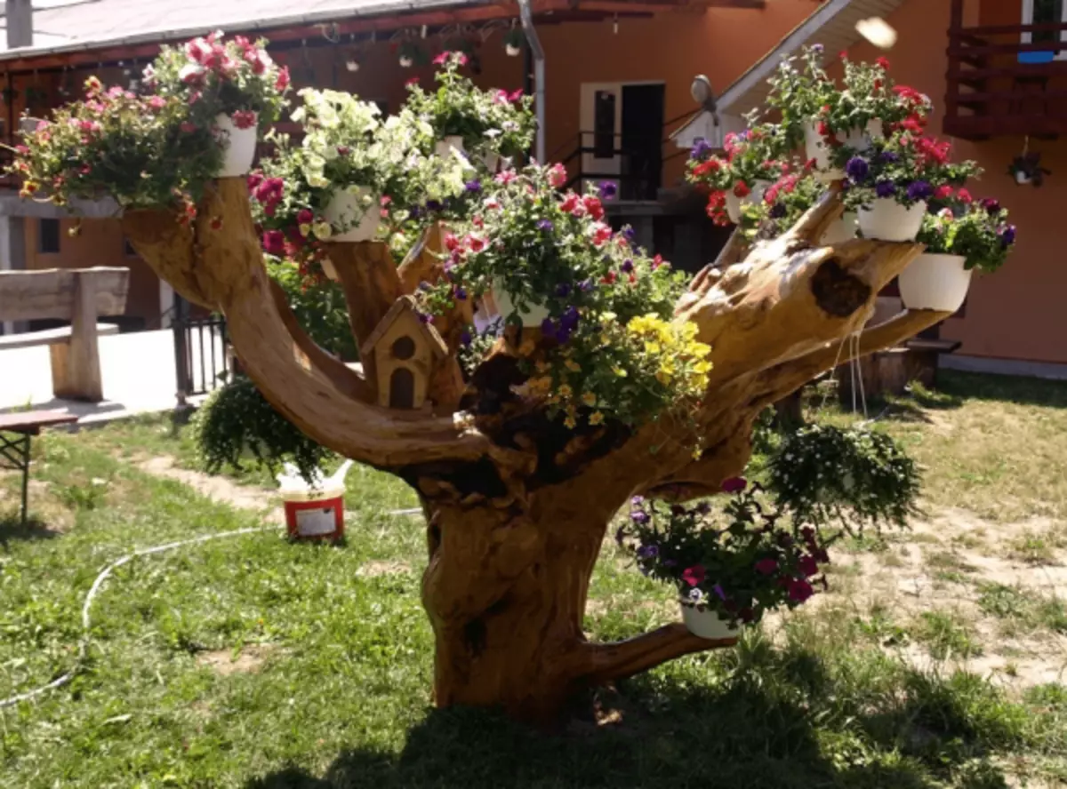 Suvo drvo sa cvijećem