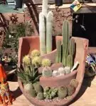 Multi-tiered flower pot of broken jug