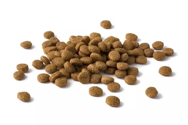 Cat Chow Granules Feed Feed