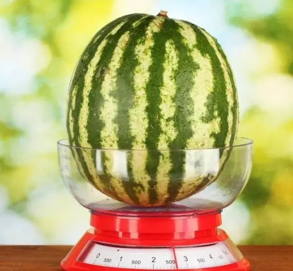 I-Watermelon kwizikali