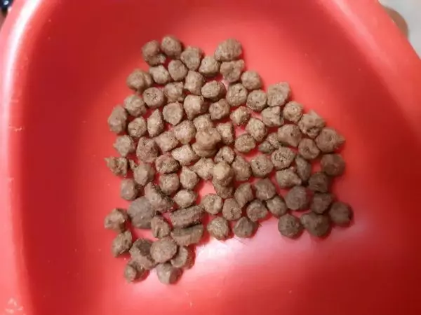 Еукануба суви храна гранули
