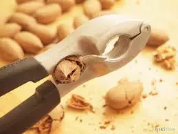 Cara menusuk kacang kemiri