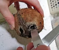 如何在椰子中制作一个洞