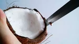 Как да получите кокосов пулп