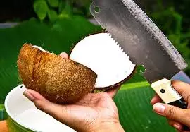 Как да разделим кокос