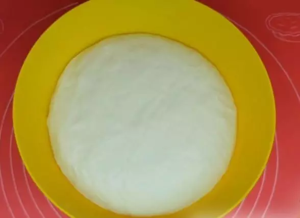 Квасец тесто во голема жолта сад