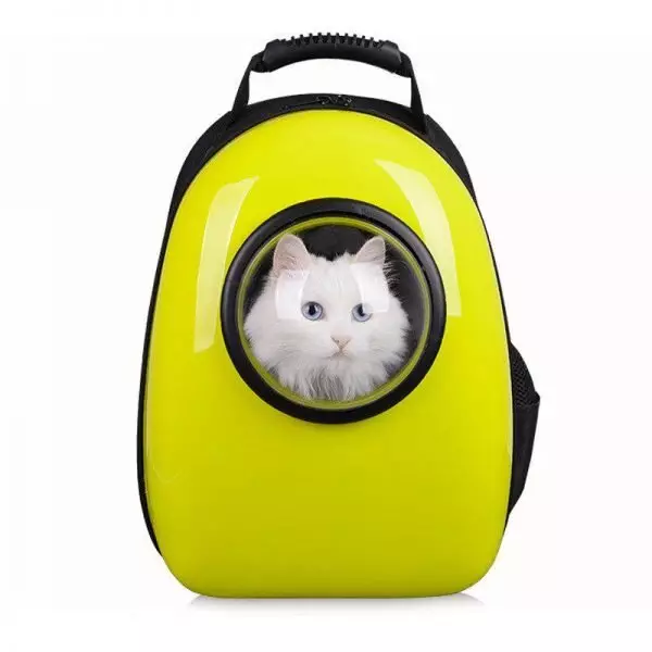 背包携带猫