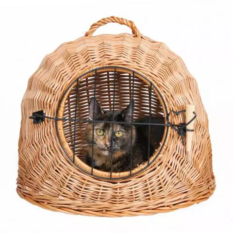 កញ្ចប់ wicker