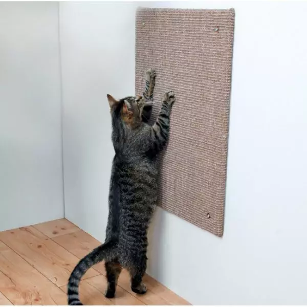 Cakar mengasah kucing tentang braket dinding