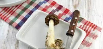 Čištěná houba