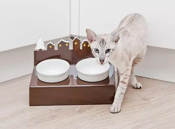 Кот поруч з керамічними мисками на підставці