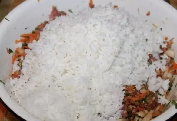 Nasi dalam nasi cincang