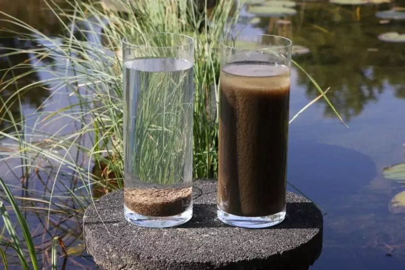 Vier Wege, um das Wasser zu reinigen, ohne einen Filter zu kaufen 3757_2