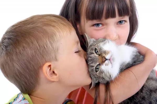 Сервизни котки и котки (фитнес и други видове): как изглежда, признаци, лечение на котенца и възрастни животни у дома, снимка