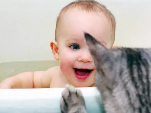 बिल्ली स्नान में देखती है जहां बच्चा स्नान करता है