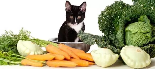बिल्ली और ताजा सब्जियां
