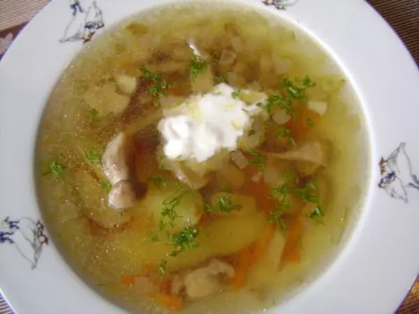 Sopa de cogumelos com creme azedo e endro fresco em uma placa de porção