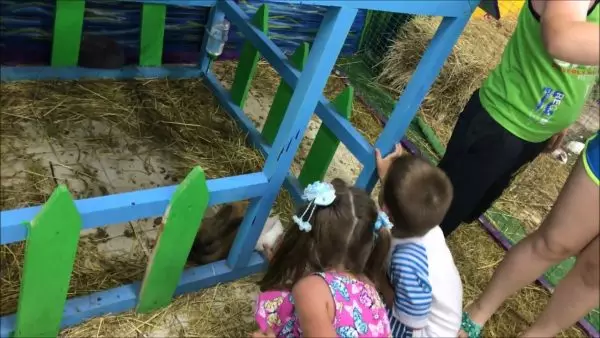 Дитячий зоопарк «Живий контакт з природою» в Лазаревському