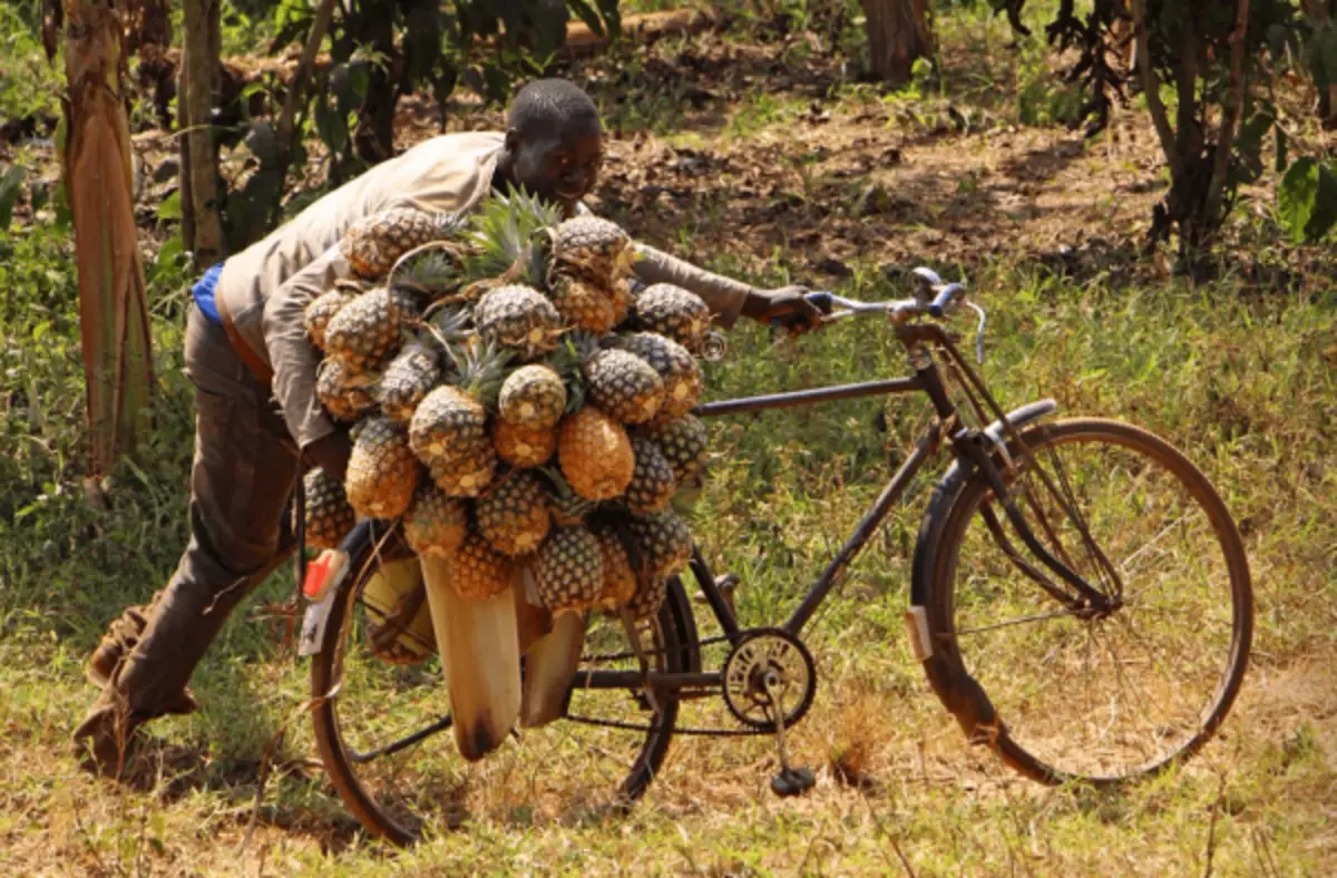 Sådan rengøres og skære ananas derhjemme