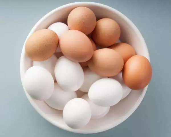 Hoender Eiers