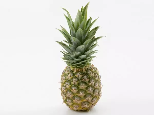 一個菠蘿