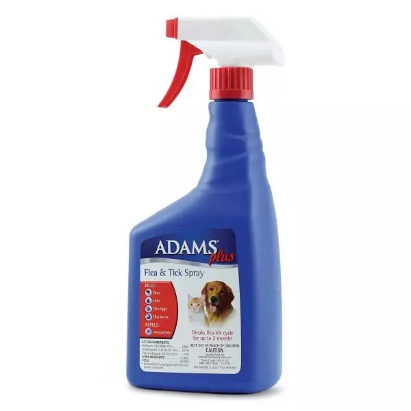 Spray Adams.