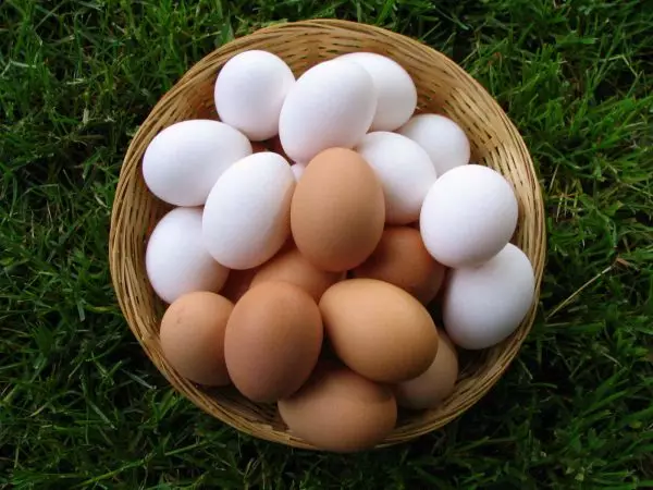 Kjúklingur egg