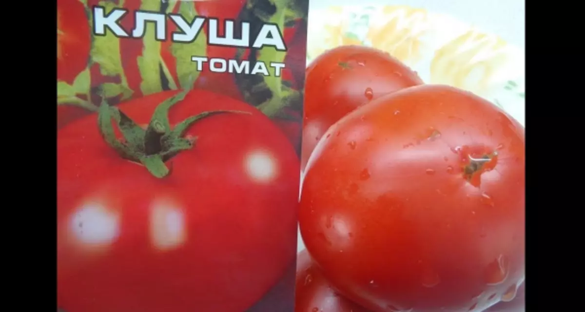 Разнообразие от клуба домати