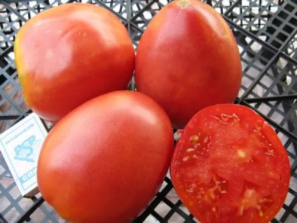 Tomatov vastenka variety.