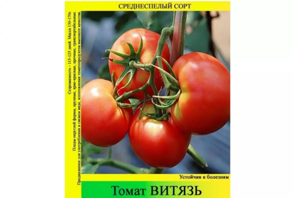 Tomato Vityaz.