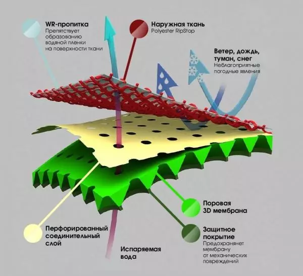 Den Diagramm vun der Struktur vun der Membran