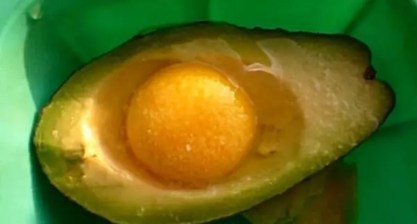 Kwai a cikin avocado