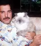 Freddie Mercury na paka