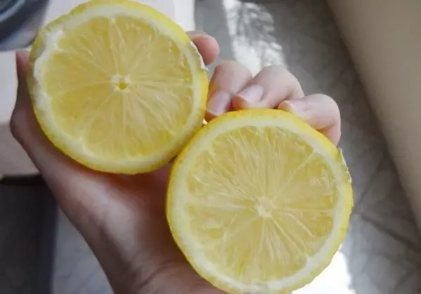 Halvdele af citron i hænder