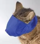 Kat in een snuit