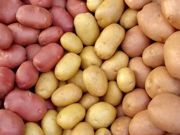 Tubers Potato