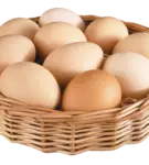 Kasut berasaskan protein telur